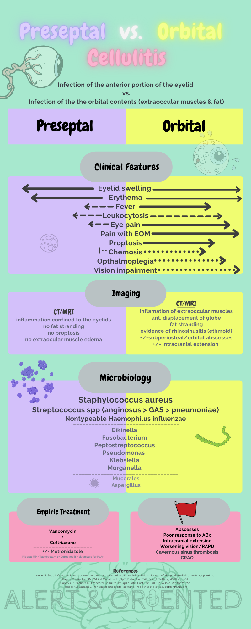 Infographics – Alert & Oriented