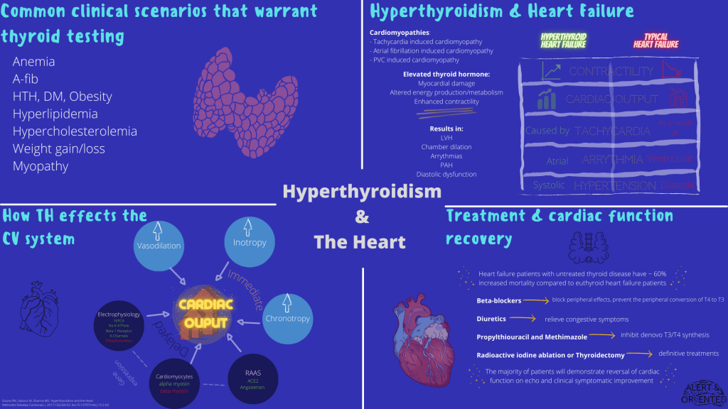 Infographics – Alert & Oriented